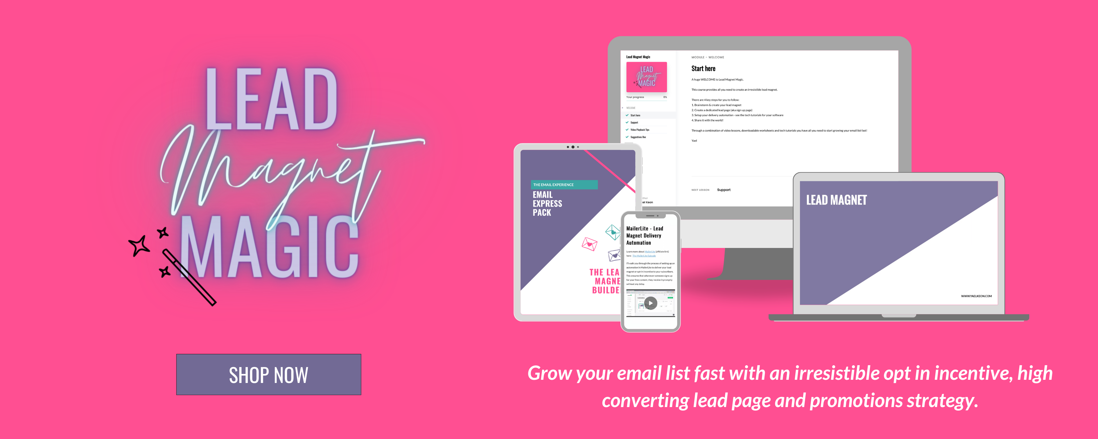 Lead Magnet Ideas That Are Working Now - Yael Keon